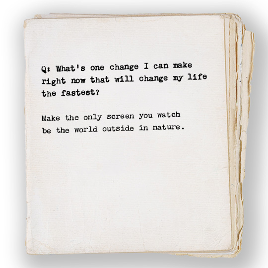 One Change - Karen Shanley